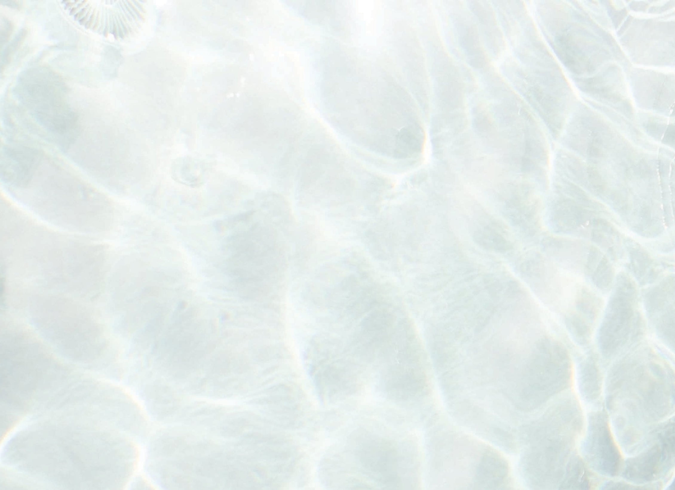 Stock Tank Pool Accessories – Ranch Pools